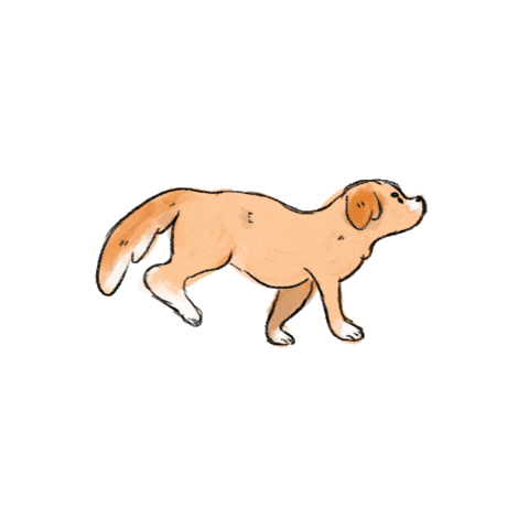 Dog Run Sticker by pupper for iOS & Android | GIPHY