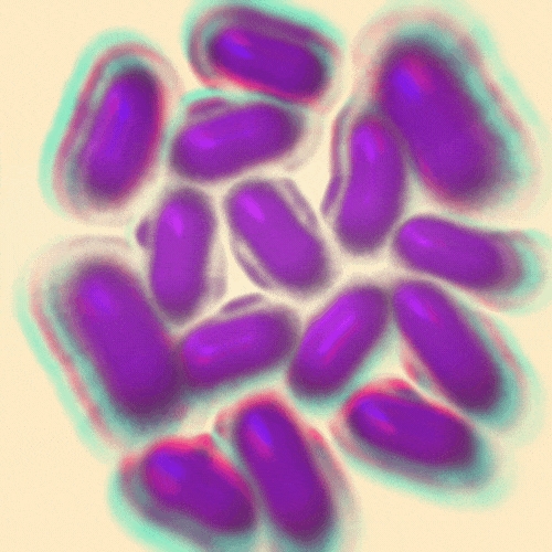 Art Loop GIF - Find & Share on GIPHY