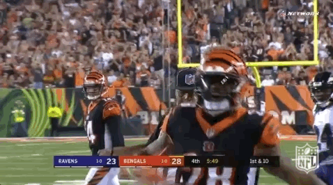 Cincinnati Bengals Football GIF by NFL - Find & Share on GIPHY