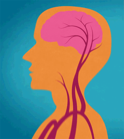 Alveoli GIFs - Find & Share on GIPHY