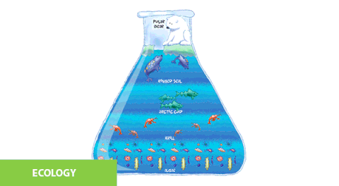 Ecology GIF - Find & Share on GIPHY