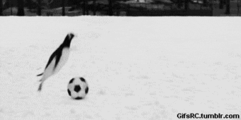 Today is dedicated to Aimless....... - AR15.COM