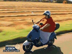 Honda Motorcycles GIFs - Get the best GIF on GIPHY