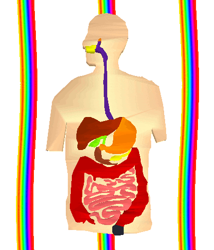 Transparent GIF Sticker - Find & Share on GIPHY