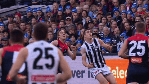 Football Mark GIF by CollingwoodFC - Find & Share on GIPHY
