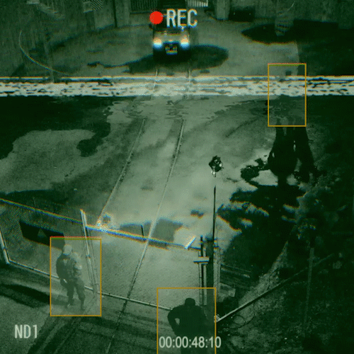 K-391 Mystery GIF - Find & Share on GIPHY