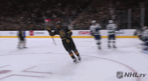 Happy Ice Hockey GIF by NHL - Find & Share on GIPHY