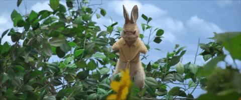 Peter Rabbit GIF - Find & Share on GIPHY