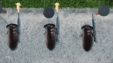 Scary Bugs GIFs - Get the best GIF on GIPHY