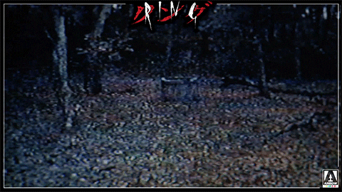 The Ring Film GIF by Arrow Video - Find & Share on GIPHY