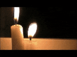 The Night Before GIF - Find & Share on GIPHY