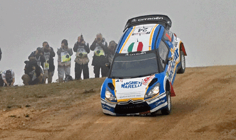 Rally Team GIFs - Find & Share on GIPHY