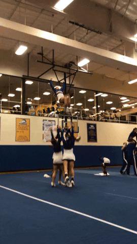 College Cheer GIF by Hofstra University - Find & Share on GIPHY