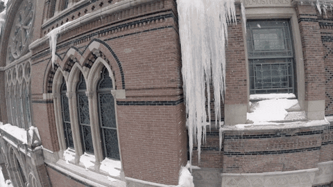 Snow Winter GIF by Harvard University - Find & Share on GIPHY