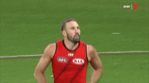Happy Sport GIF by Essendon FC - Find & Share on GIPHY