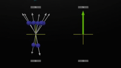 Mri GIF - Find & Share on GIPHY