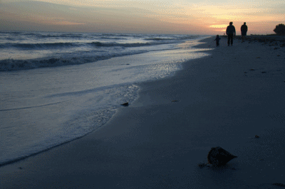 Beach GIFs - Find & Share on GIPHY