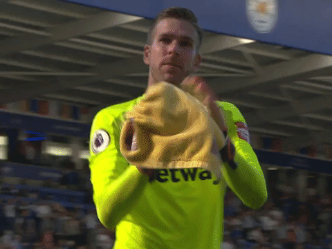 Premier League Epl GIF by West Ham United - Find & Share on GIPHY