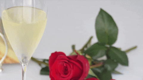 Rose Love GIF by Petrossian - Find & Share on GIPHY