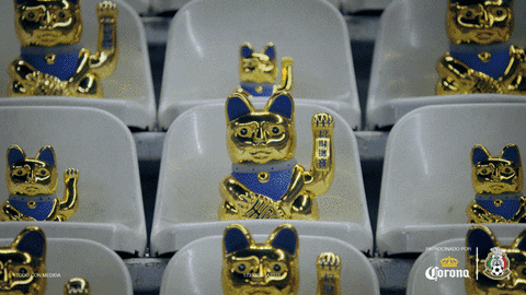 Corona Apoyo GIF - Find & Share on GIPHY