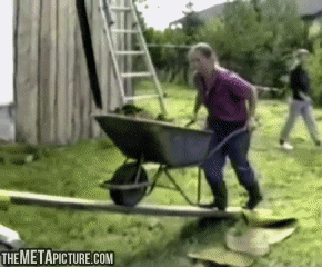 X Wheelbarrow GIF - Find & Share on GIPHY
