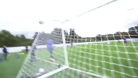 Three Lions Dier GIF by England - Find & Share on GIPHY