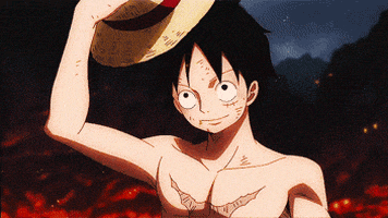 One Piece GIF - Find & Share on GIPHY