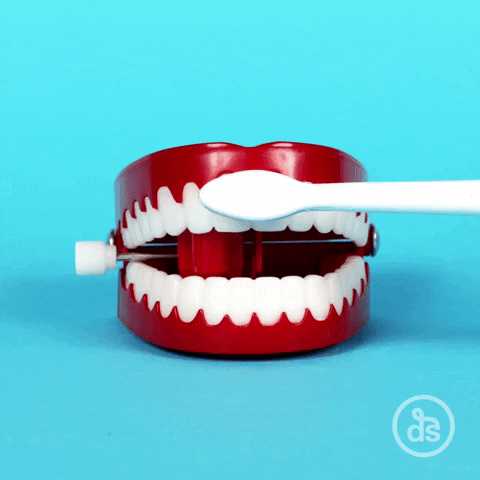 Fake Teeth GIFs - Find & Share on GIPHY