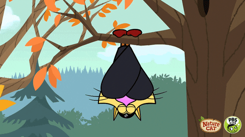 Dress Up Nature Cat GIF by PBS KIDS - Find & Share on GIPHY