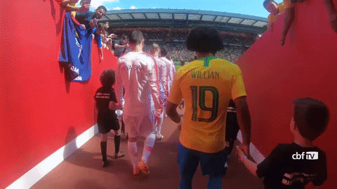 Selecao Brasileira Soccer GIF by Confederação Brasileira de Futebol ...