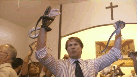 Lake Norman GIFs - Find & Share on GIPHY