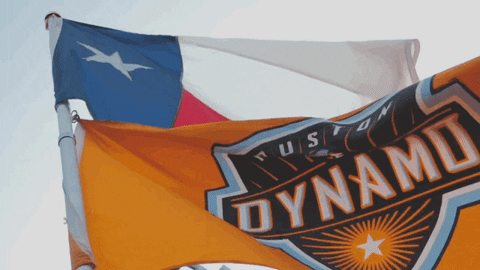Flag Texas GIF by Houston Dynamo - Find & Share on GIPHY