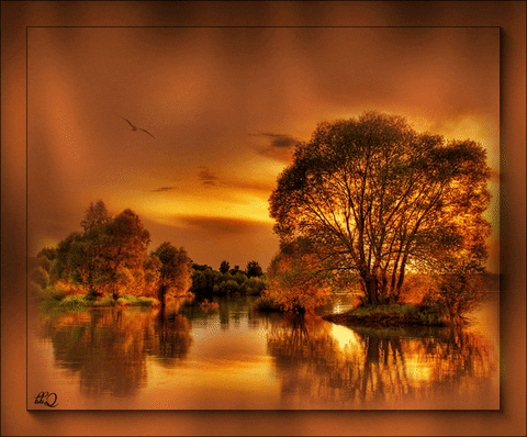 Autumn GIF - Find & Share on GIPHY