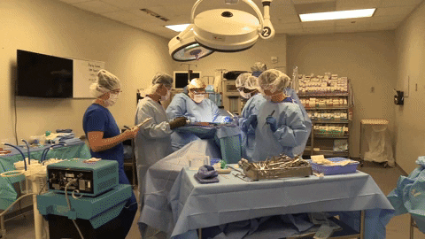 College Training GIF - Find & Share on GIPHY