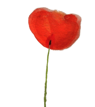 Remember War Sticker by CBeebies HQ for iOS & Android | GIPHY