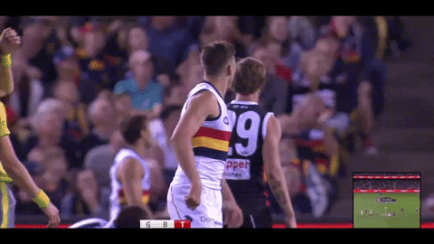 Afl Celebrate GIF by Adelaide Crows - Find & Share on GIPHY