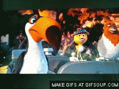 Rio Nico GIF - Find & Share on GIPHY