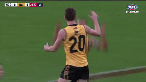 Luke Foley Draft GIF by AFL - Find & Share on GIPHY
