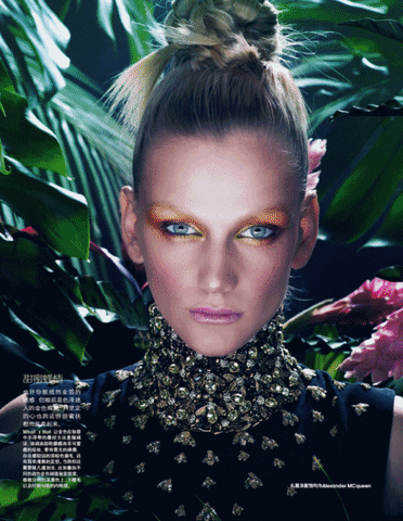 Exotic GIF - Find & Share on GIPHY