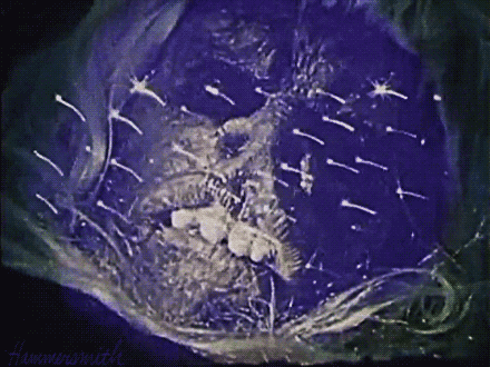 Metamorphosis The Alien Factor GIFs - Find & Share on GIPHY