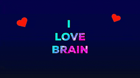 BRAIN GIF - Find & Share on GIPHY