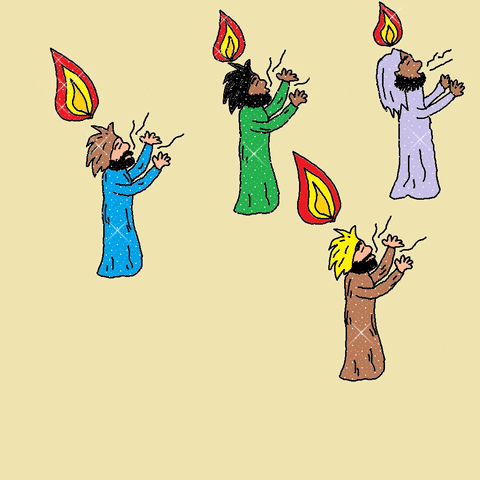 Holy GIFs - Find & Share on GIPHY