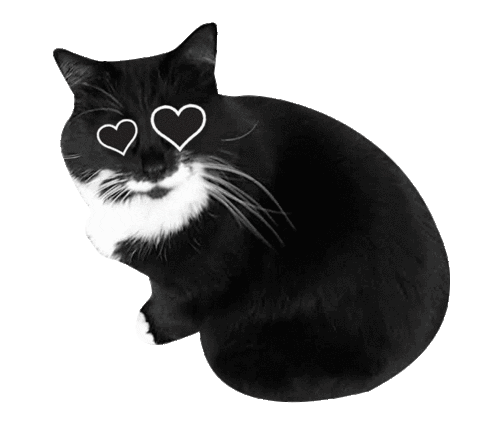 Cat Heart Sticker by Roundhouse for iOS & Android | GIPHY