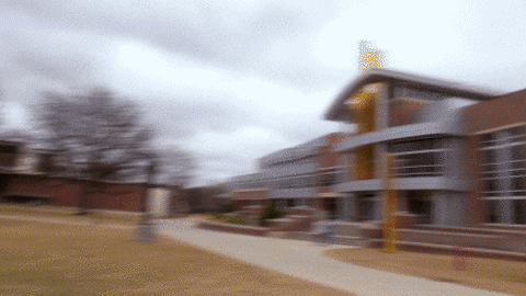 Ncaa Sports Sport GIF by Wichita State University - Find & Share on GIPHY