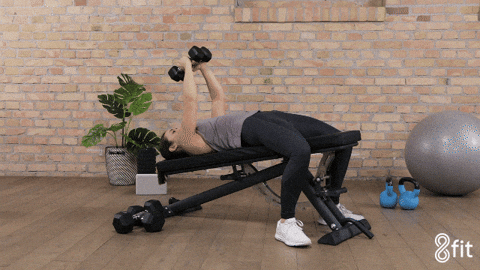 At Home Workout GIF by 8fit - Find & Share on GIPHY