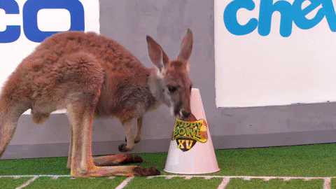 Kangaroo GIF by Puppy Bowl - Find & Share on GIPHY