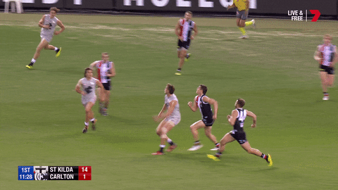 Carlton Fc GIF by Carlton Football Club - Find & Share on GIPHY