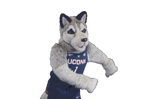 Happy Dance Sticker by UConn Huskies for iOS & Android | GIPHY