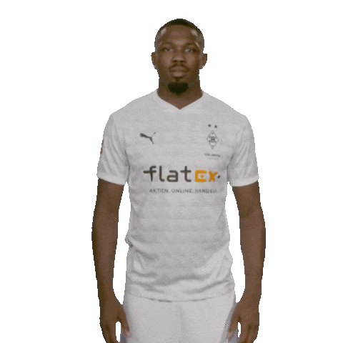 Posing Line Up Sticker by Bundesliga for iOS & Android | GIPHY