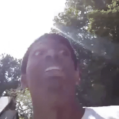 Best Vines Gif